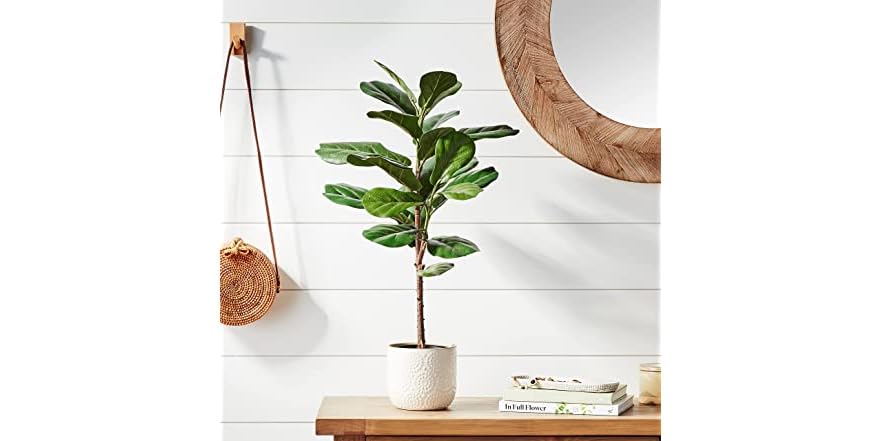 Amazon Brand Artificial Fiddle Leaf Fig Tree