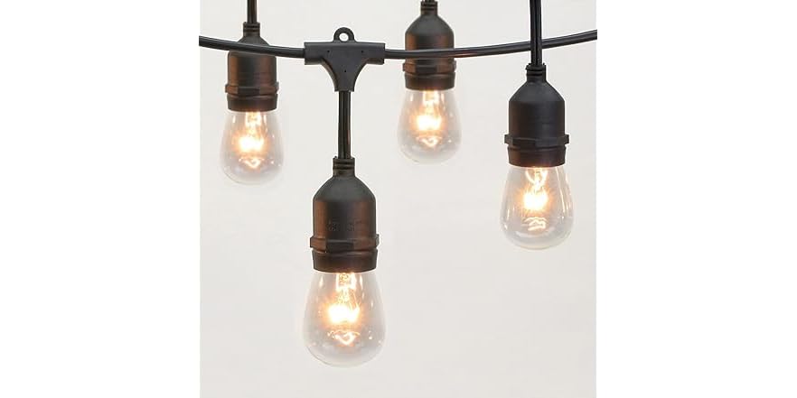 PHILIPS 29' String Lights w/ 15 Clear Incandescent Bulbs