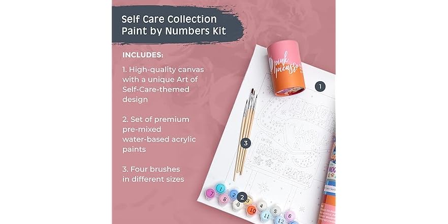 Pink Picasso Paint by Numbers Kits