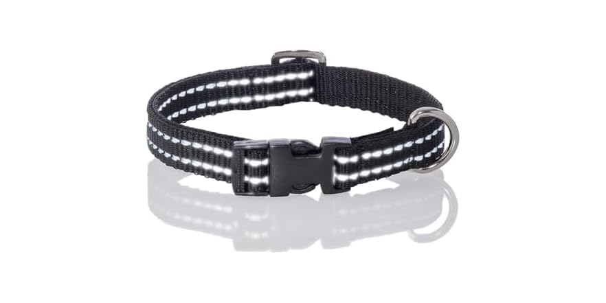 Pet Passion Adjustable Reflective Pet Collar