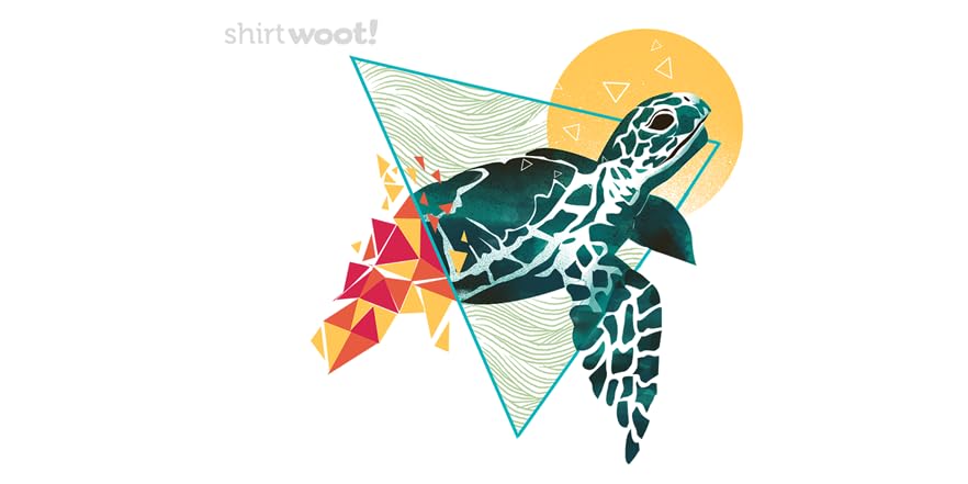 Geometric Turtle