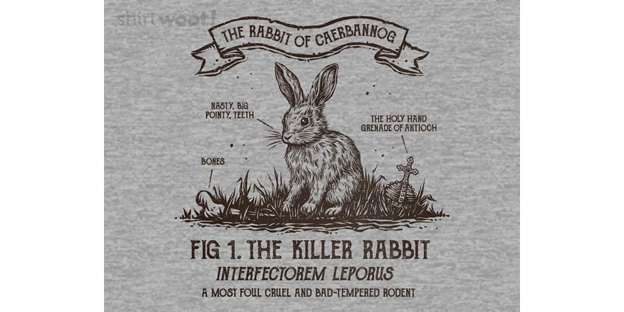 The Rabbit of Caerbannog