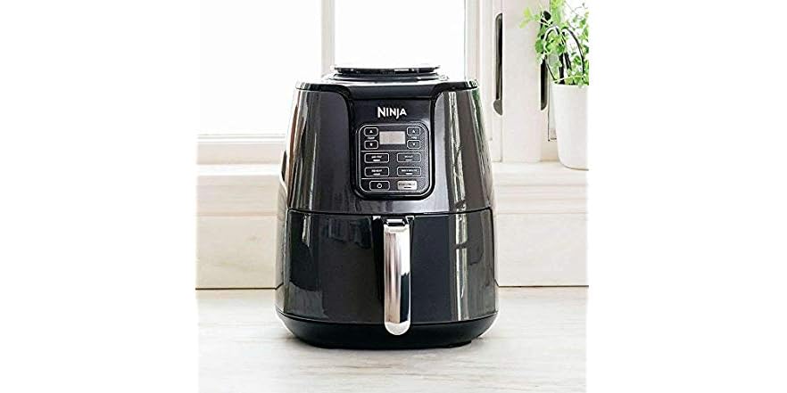 Ninja AF100 4-Quart Air Fryer