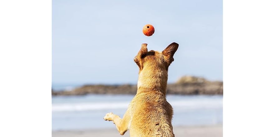 ChuckIt! High-Bounce Rubber Dog Fetch Ball