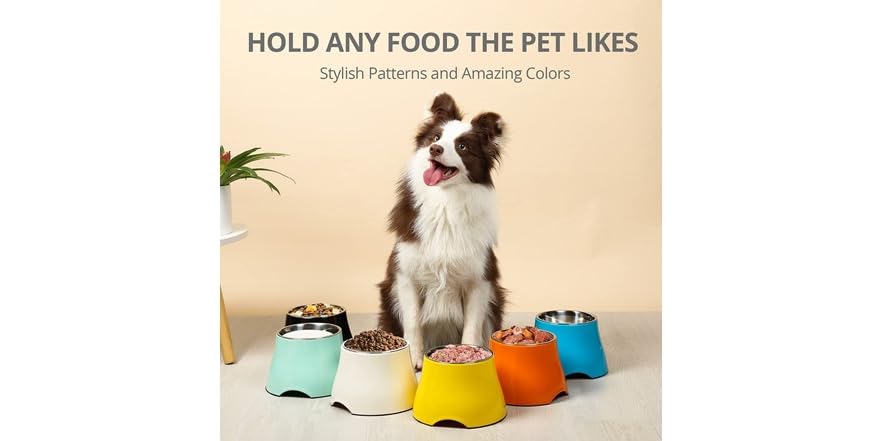 yoken Sturdy Elevated Dog Bowls