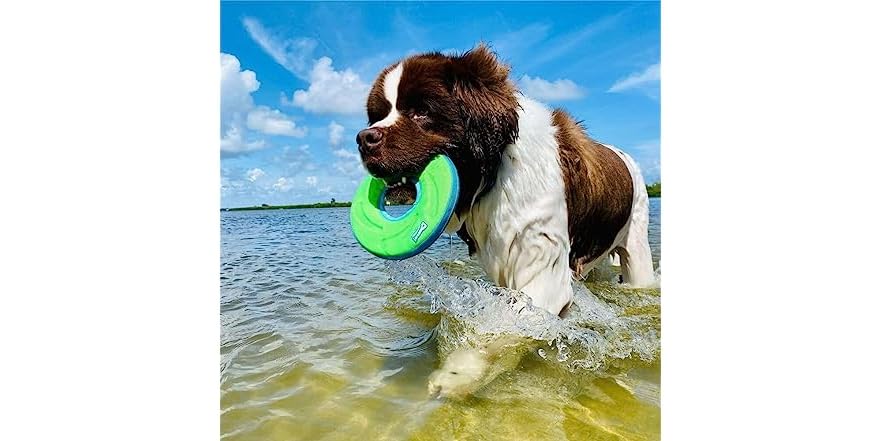 Chuckit Zipflight Flying Disc Dog Toy