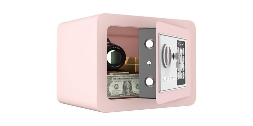 Small Money Safe