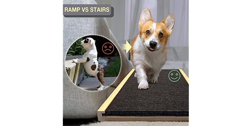 PATHOSIO PETS Dog RAMP (Blue)
