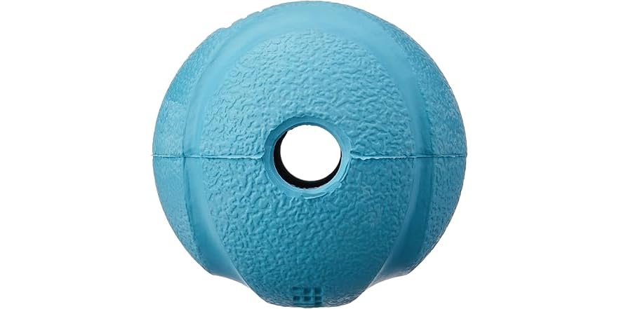 Chuckit! High-Bounce Rubber Fetch Ball, Large 3"