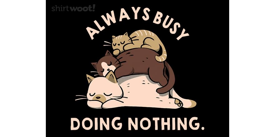 Always Busy Doing Nothing Cats