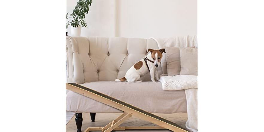 PATHOSIO PETS Dog RAMP (Blue)