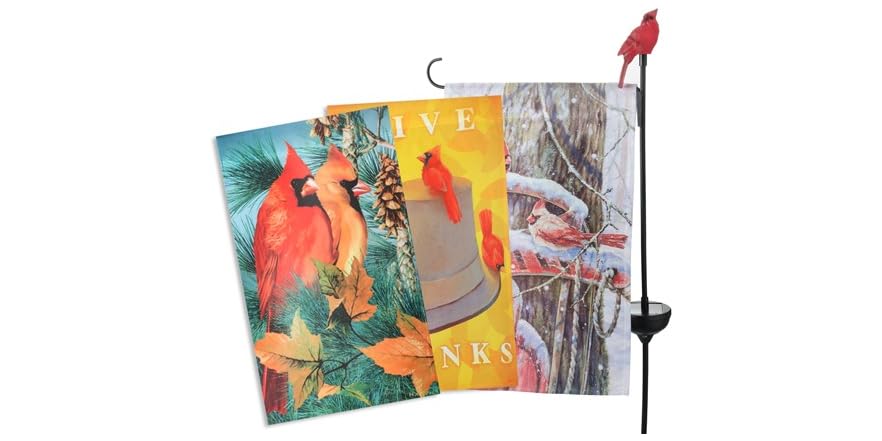 Cardinal Flag and Light Combo