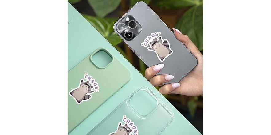 3pc Raccoon Chaos Sticker Meme