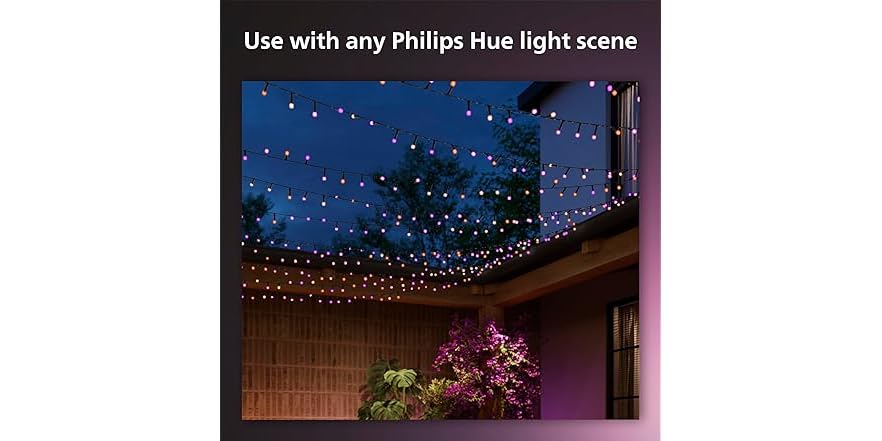 Philips Hue Indoor/Outdoor Holiday 130-Foot Festavia String Lights