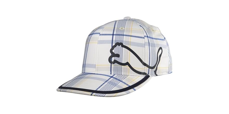 Puma Monoline Fitted Hat - White/Blue