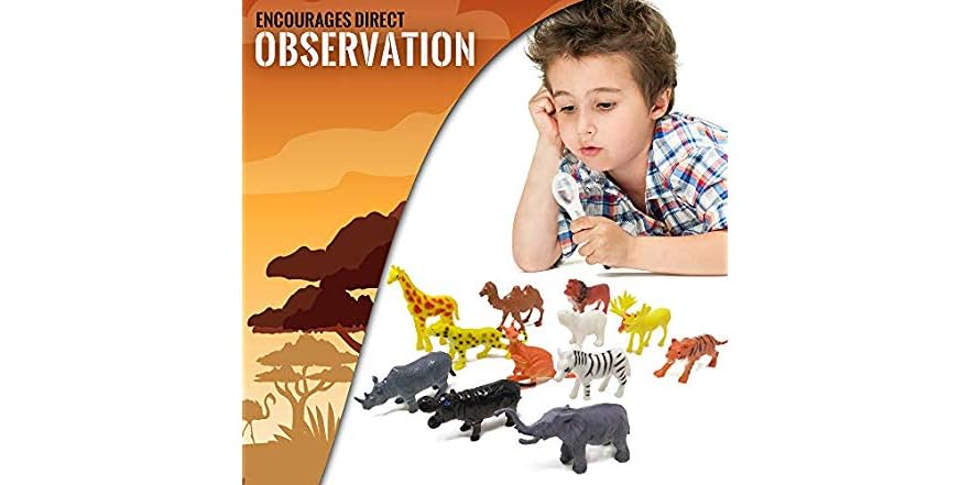 Kids Explorer Kit