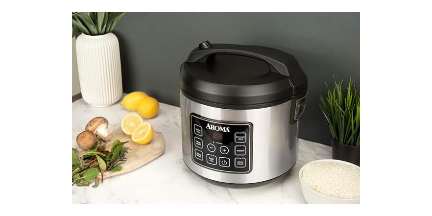 Rice Multicooker