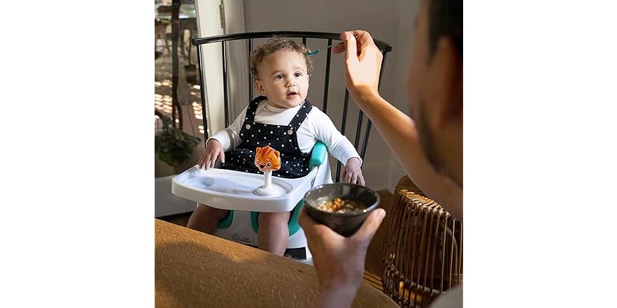 Baby Einstein Dine & Discover Multi-Use Booster