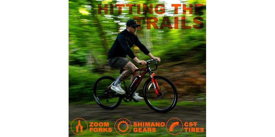 SWIFTY AT650 Electric Bike