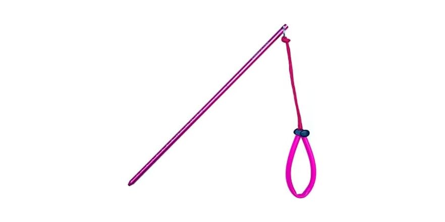 Lobster Tickle Stick Pointer Rod, Pink