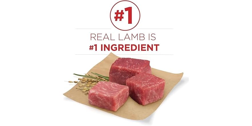 Purina ONE Smartblend Natural Lamb Dog Food