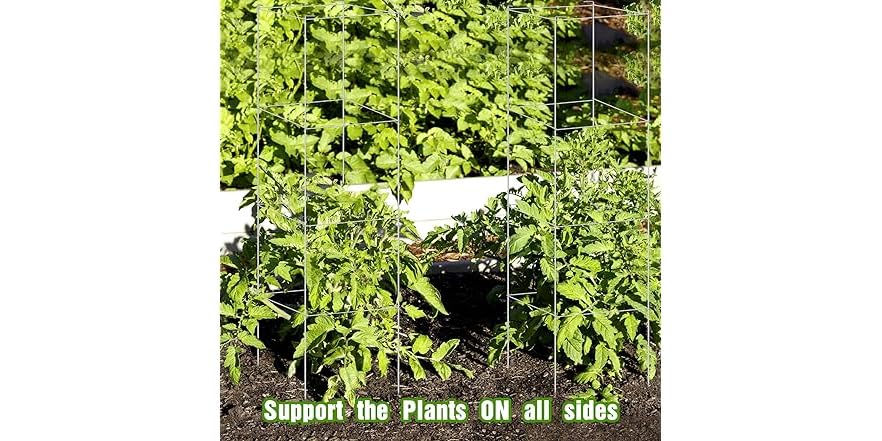 16 PC Heavy Duty Folding Tomato Cages