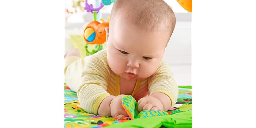 Fisher-Price Rainforest Gym