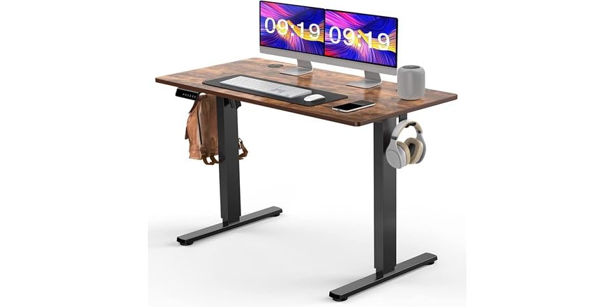 SMUG 48-inch Electric Standing Desk