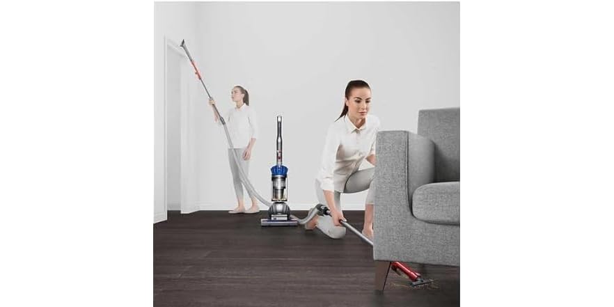 Dyson Ball Animal 2 Origin Upright Vacuum