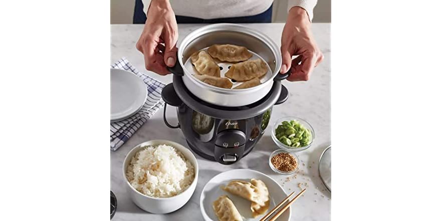 Oster 6 Cup Rice Cooker