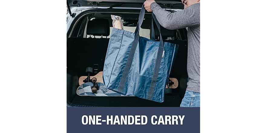 CleverMade 42L 2 PK Storage Tote - Choose Color