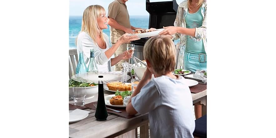 PATIOSIR Food Fan Fly Swatter