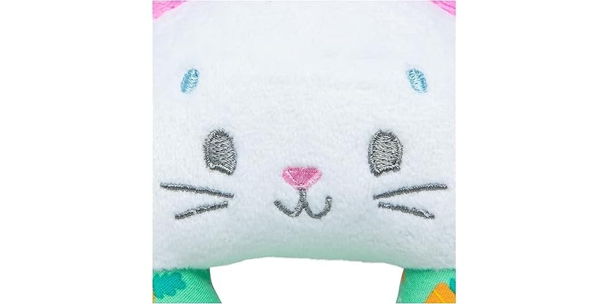 Ms. Rachel Little Bunnies Sensory Ring