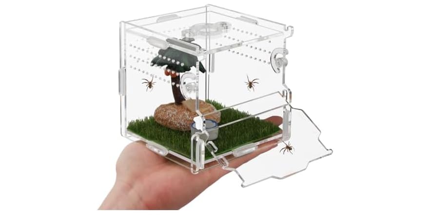 Reptile Terrarium Spider Enclosure