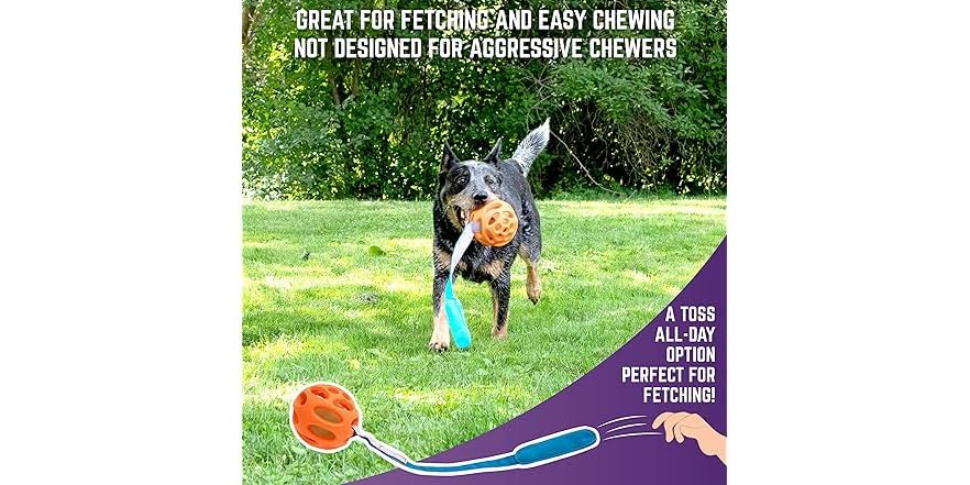 Chew King Chew King Ball Launcher - 2.5" Balls, Ball La