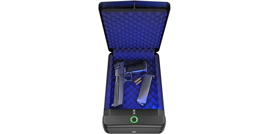 HOLEWOR Biometric Small Pistol Safe