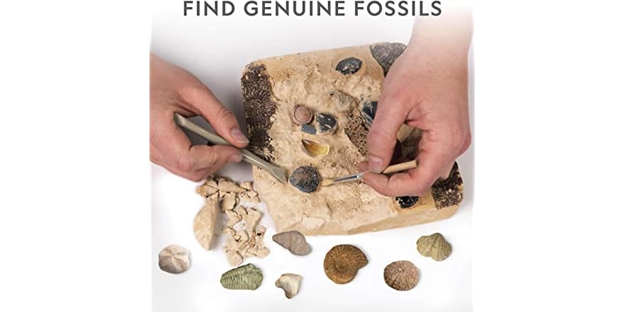 NATIONAL GEOGRAPHIC Mega Fossil Dig Kit