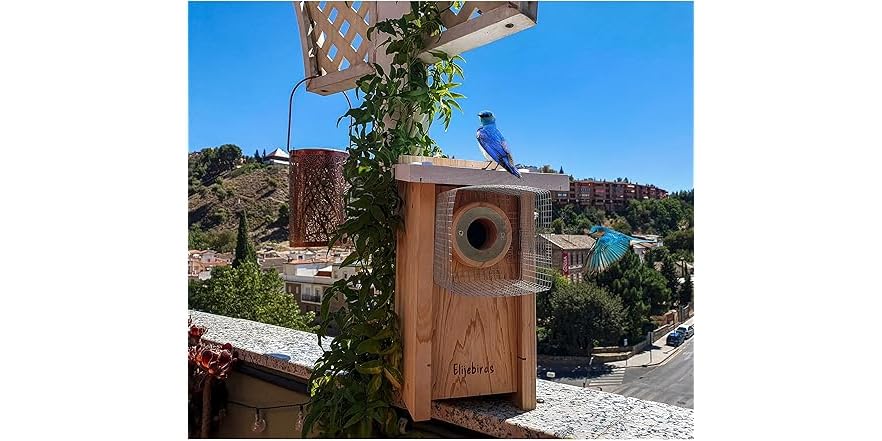 Elijebirds Bluebird Bird House