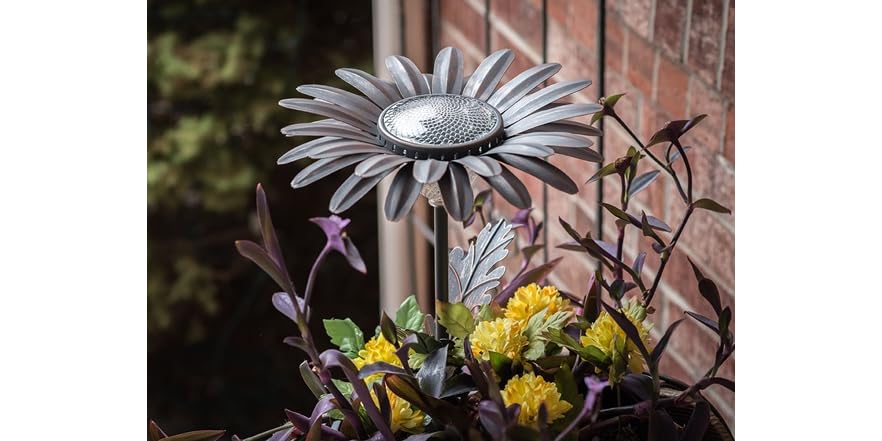 Desert Steel Daisy LED Solar Garden Light