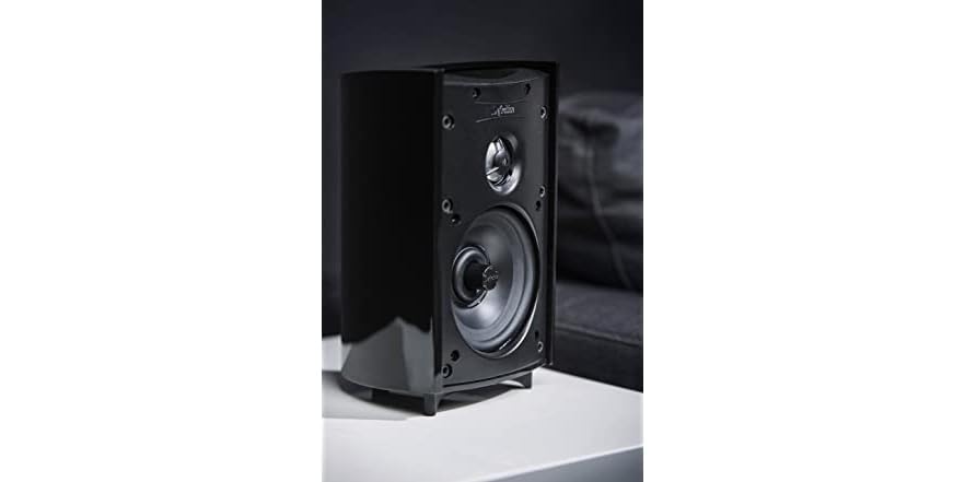 Definitive Technology ProMonitor 800