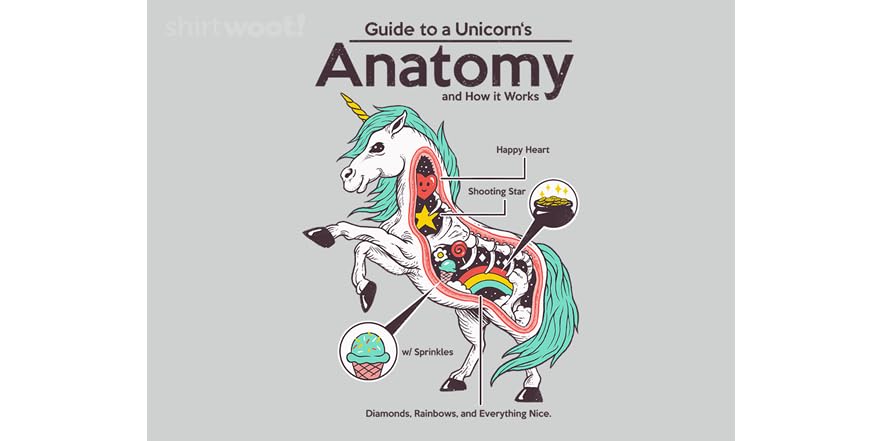 Anatomy of a Unicorn
