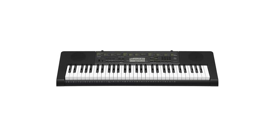 Casio Casio Electronic Keyboard