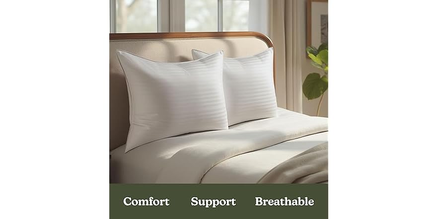 Hearth & Harbor Bed Pillows
