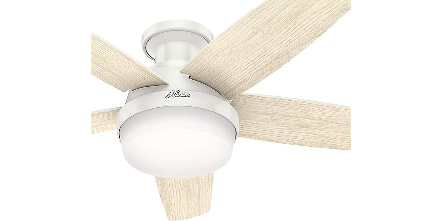 Hunter Fan 48" wLight Kit and Remote (Open Box)