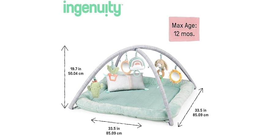 Ingenuity Calm Springs Plush Activity Gym