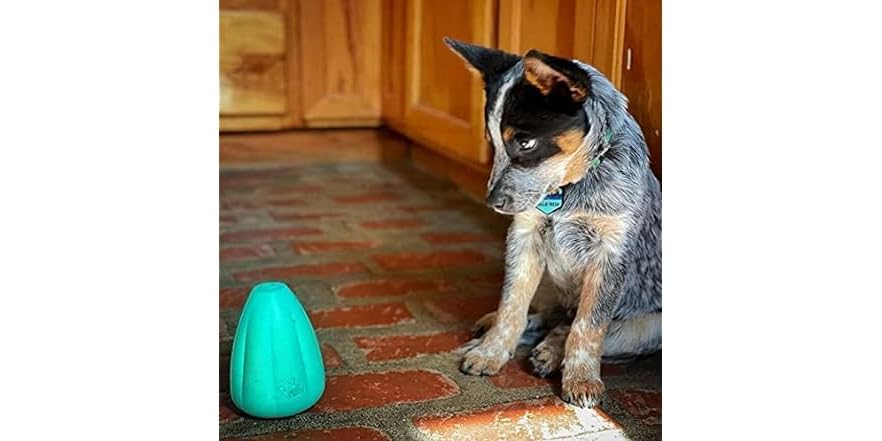 Chew King Rubber Premium Treat Dog Toy, XL