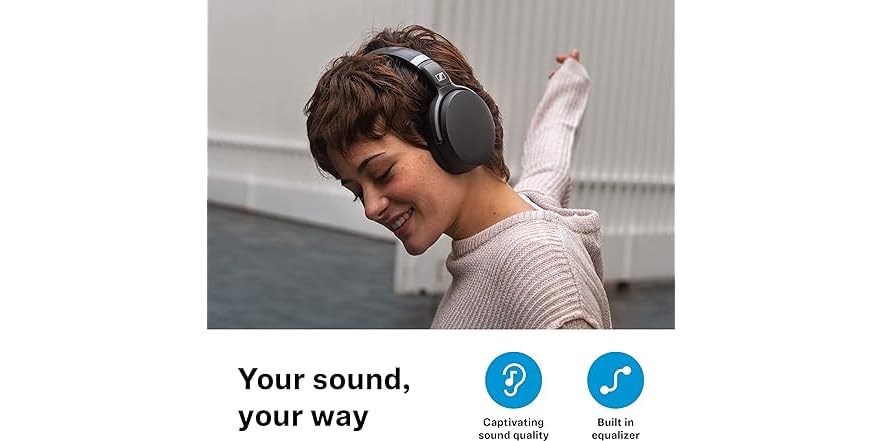 Sennheiser Consumer Audio HD 450SE Wireless Headphone