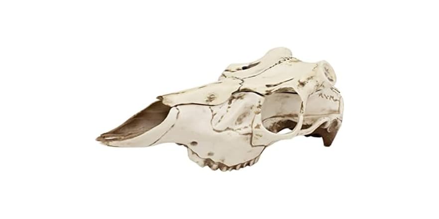 Mountain Mike's Natural Causes Skull Master, Medium, MMRSMMNC