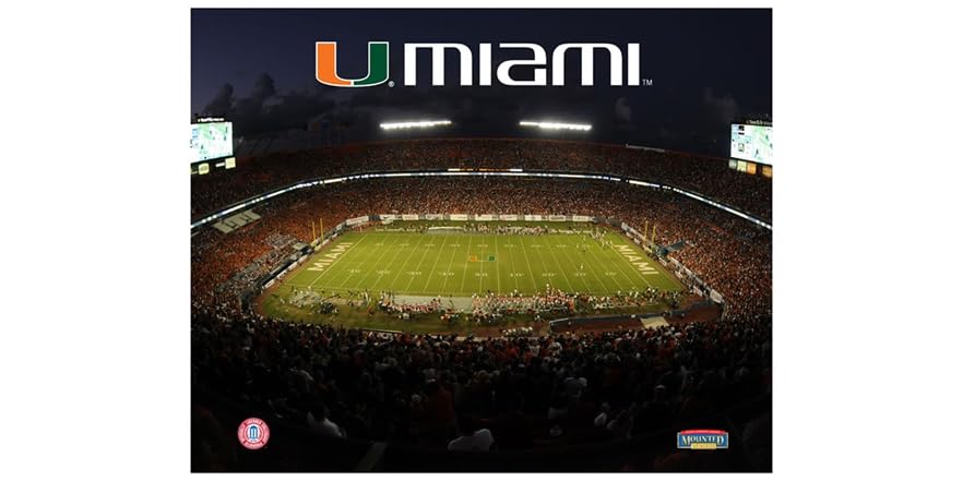 Miami Hurricanes Stadium 8" x 10"