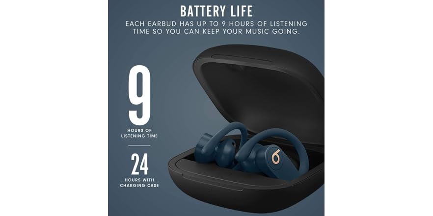 Powerbeats Pro True Wireless Earbuds